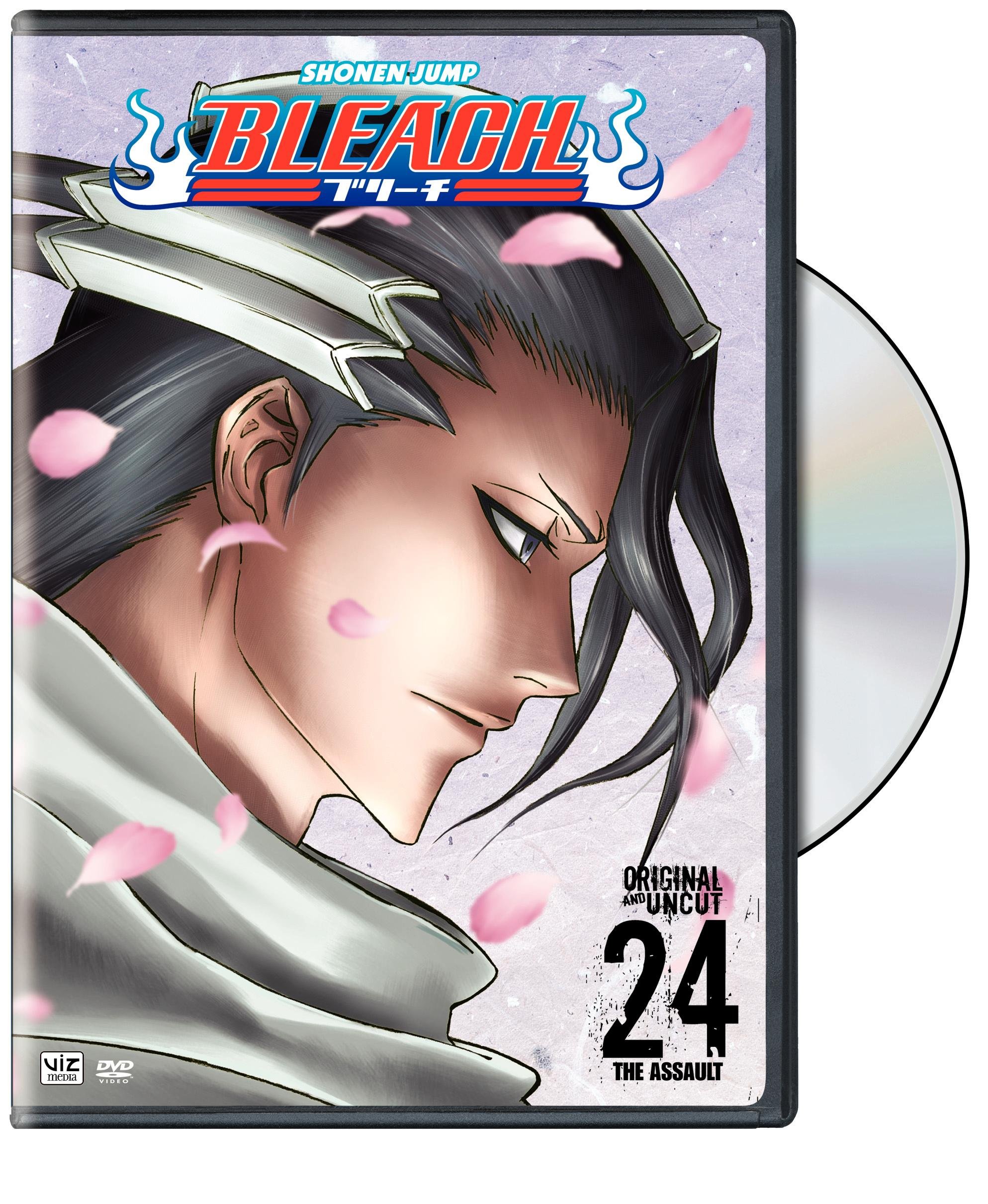 Amazon.com: Bleach, Vol. 24 : Various, Various: Movies & TV