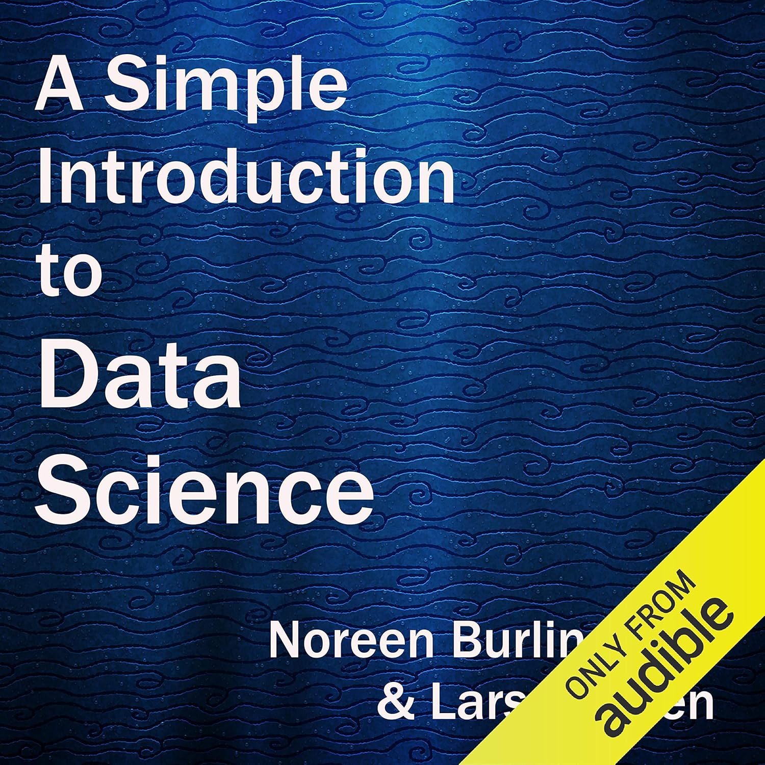 Amazon.com: A Simple Introduction to Data Science (Audible Audio ...