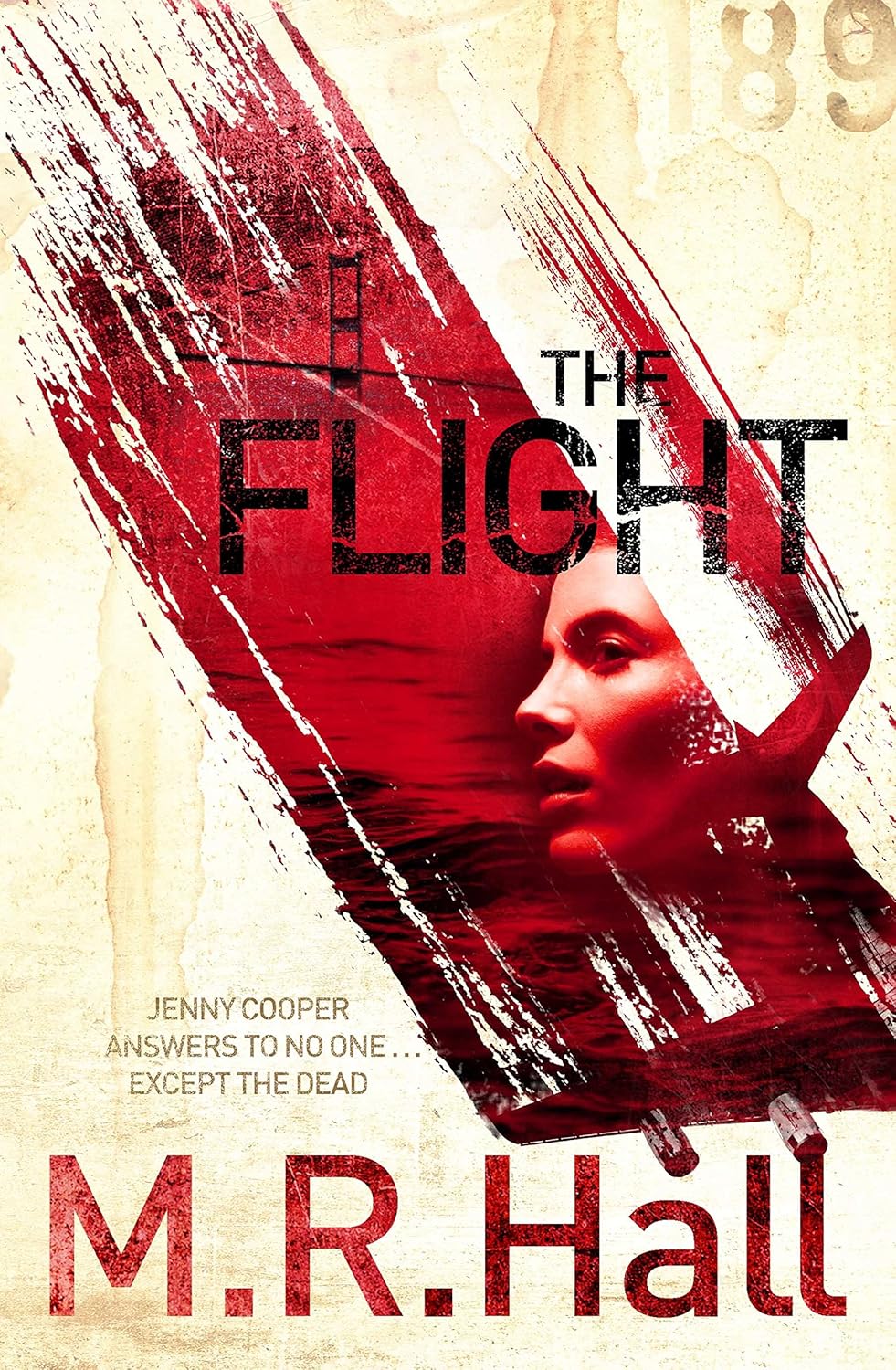 Flight: Hall, M. R.: 9780230754911: Amazon.com: Books