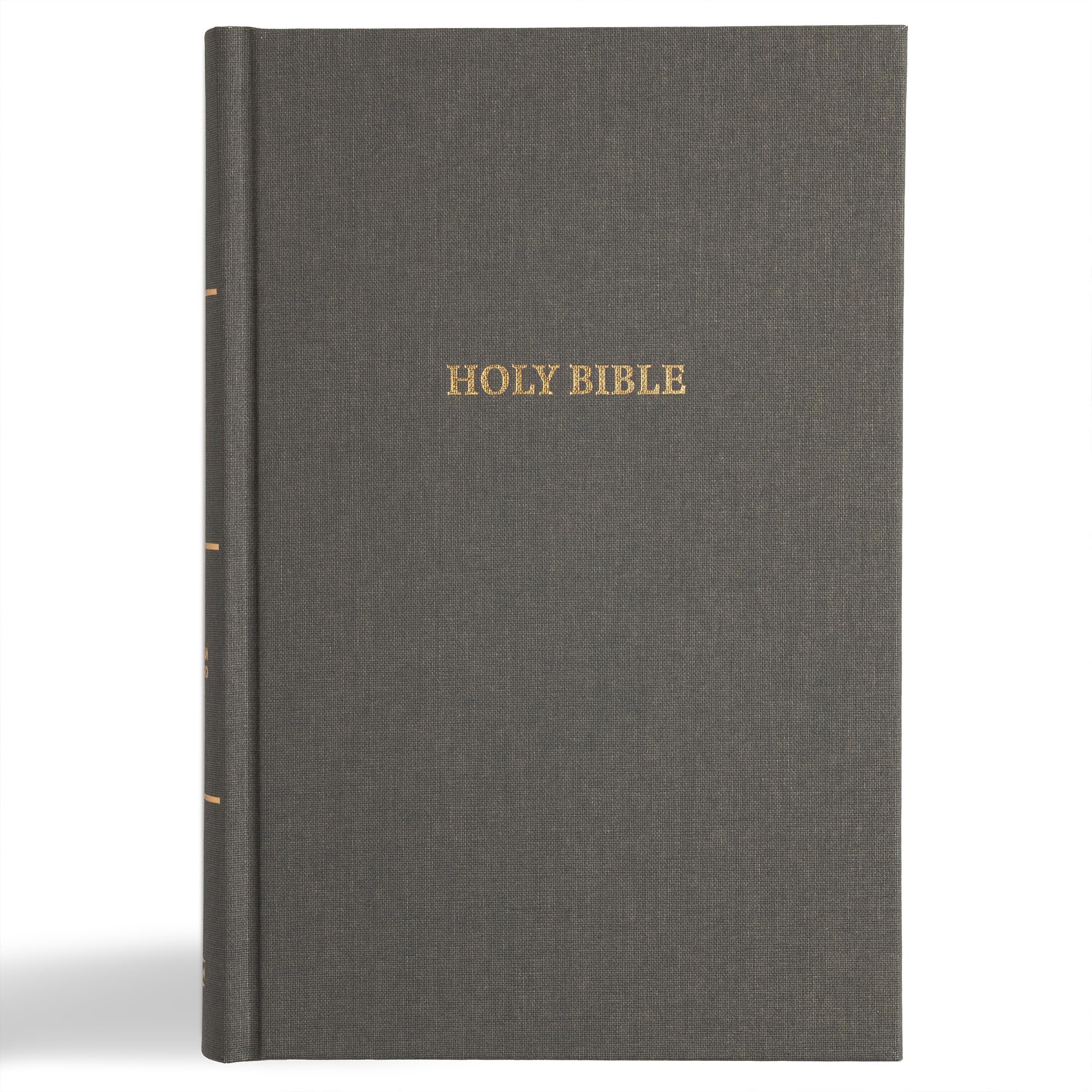 CSB Grace Bible, Charcoal Cloth Over Board, Large Print, Dyslexia ...