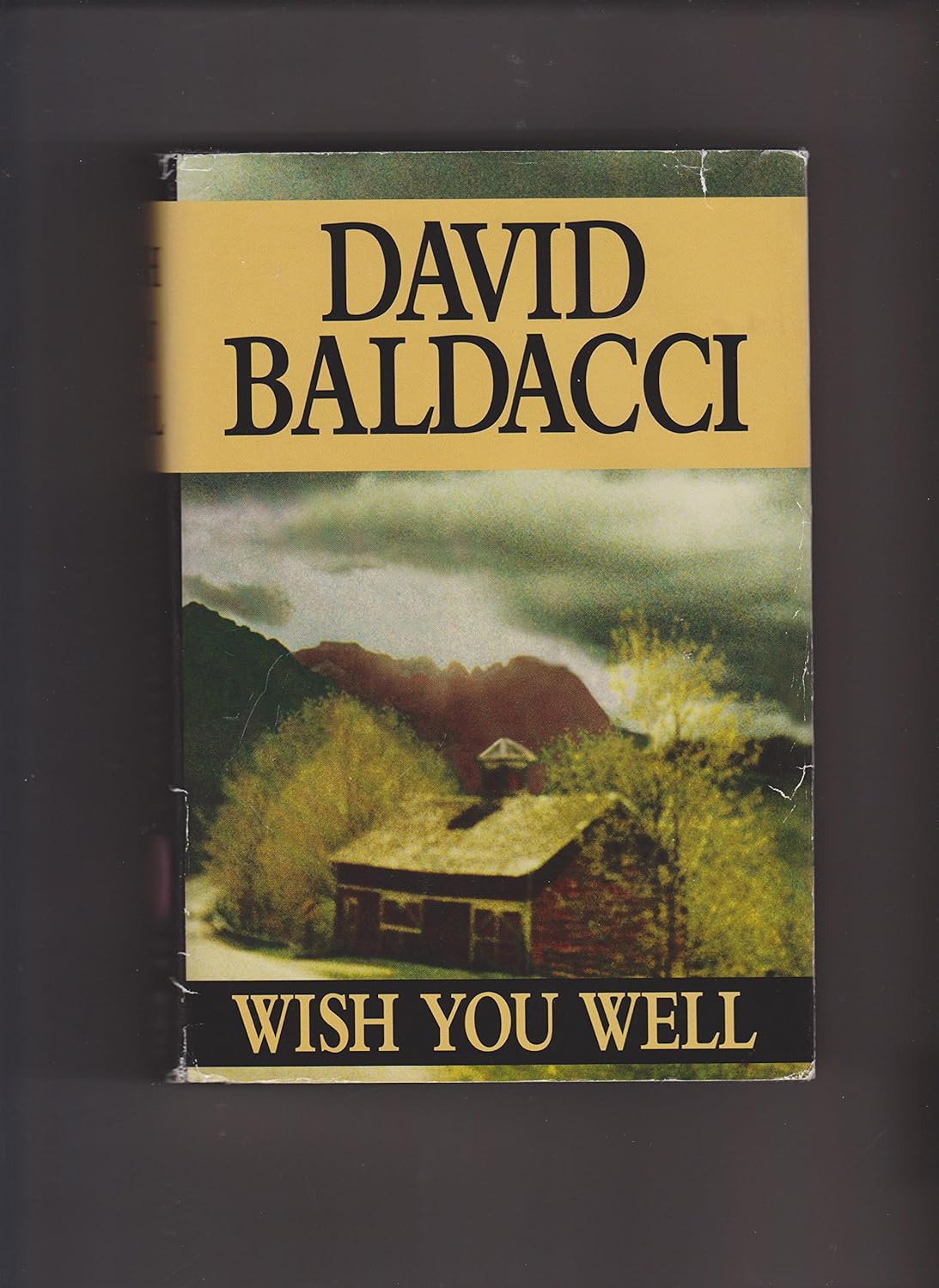 Wish You Well: Baldacci, David: 9780754016052: Amazon.com: Books