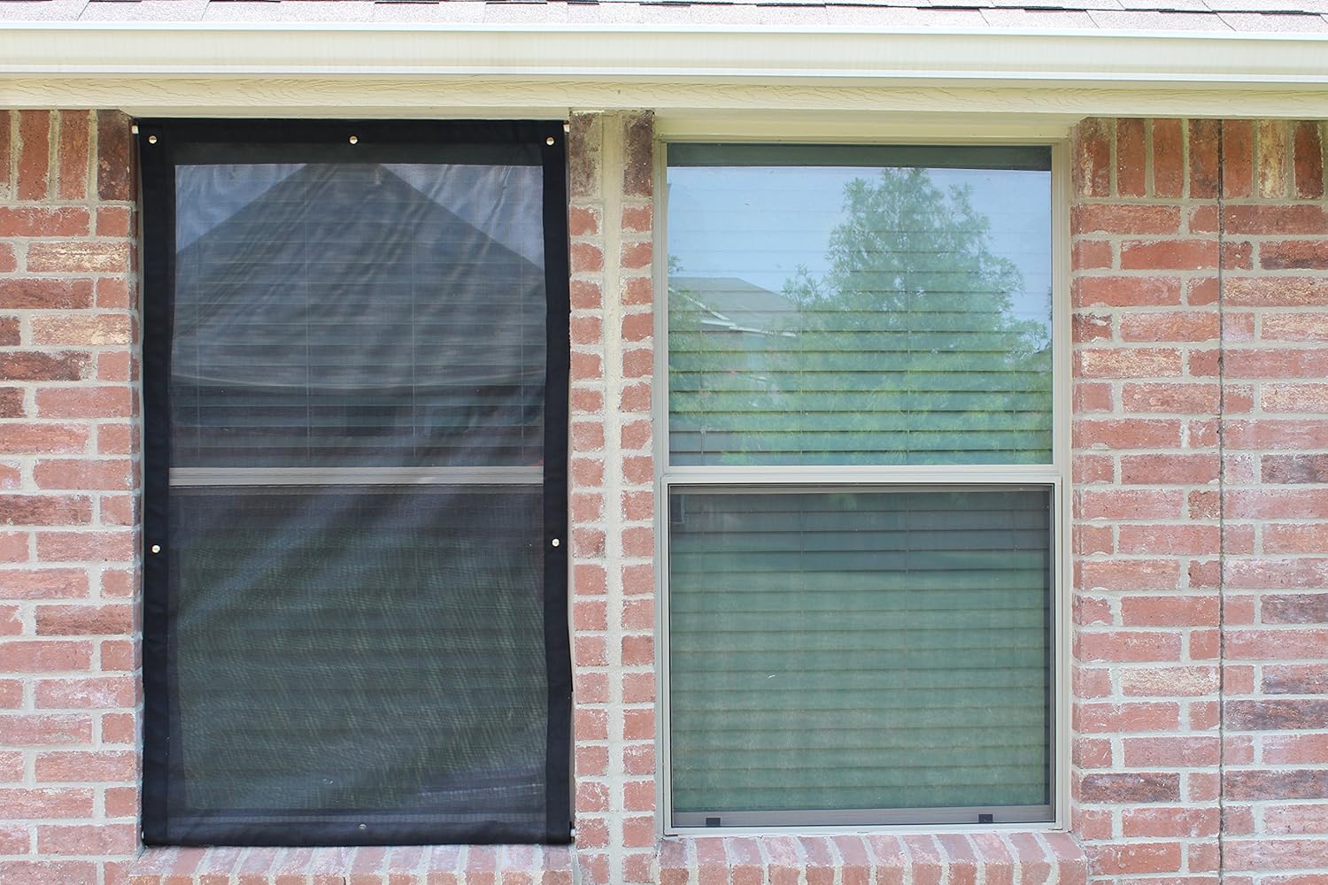 Amazon Snap On Screens Window Screen 48 X 48 Black Home
