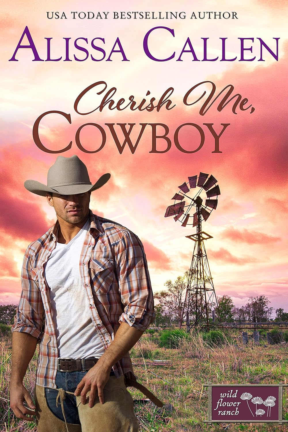 Cherish Me, Cowboy: A Small-Town Western Romance eBook : Callen, Alissa ...