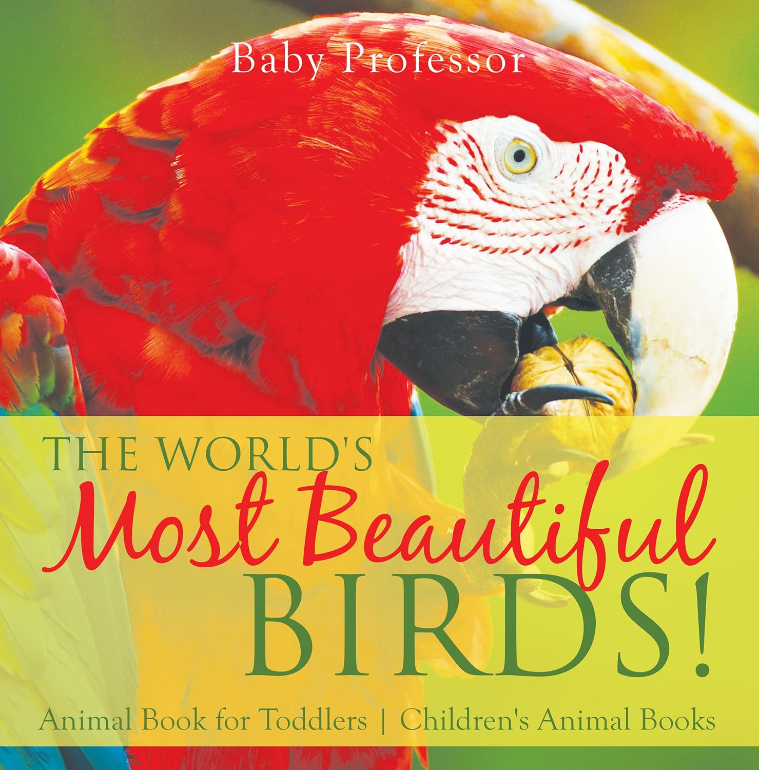 Amazon.com: The World's Most Beautiful Birds! Animal Book for Toddlers ...