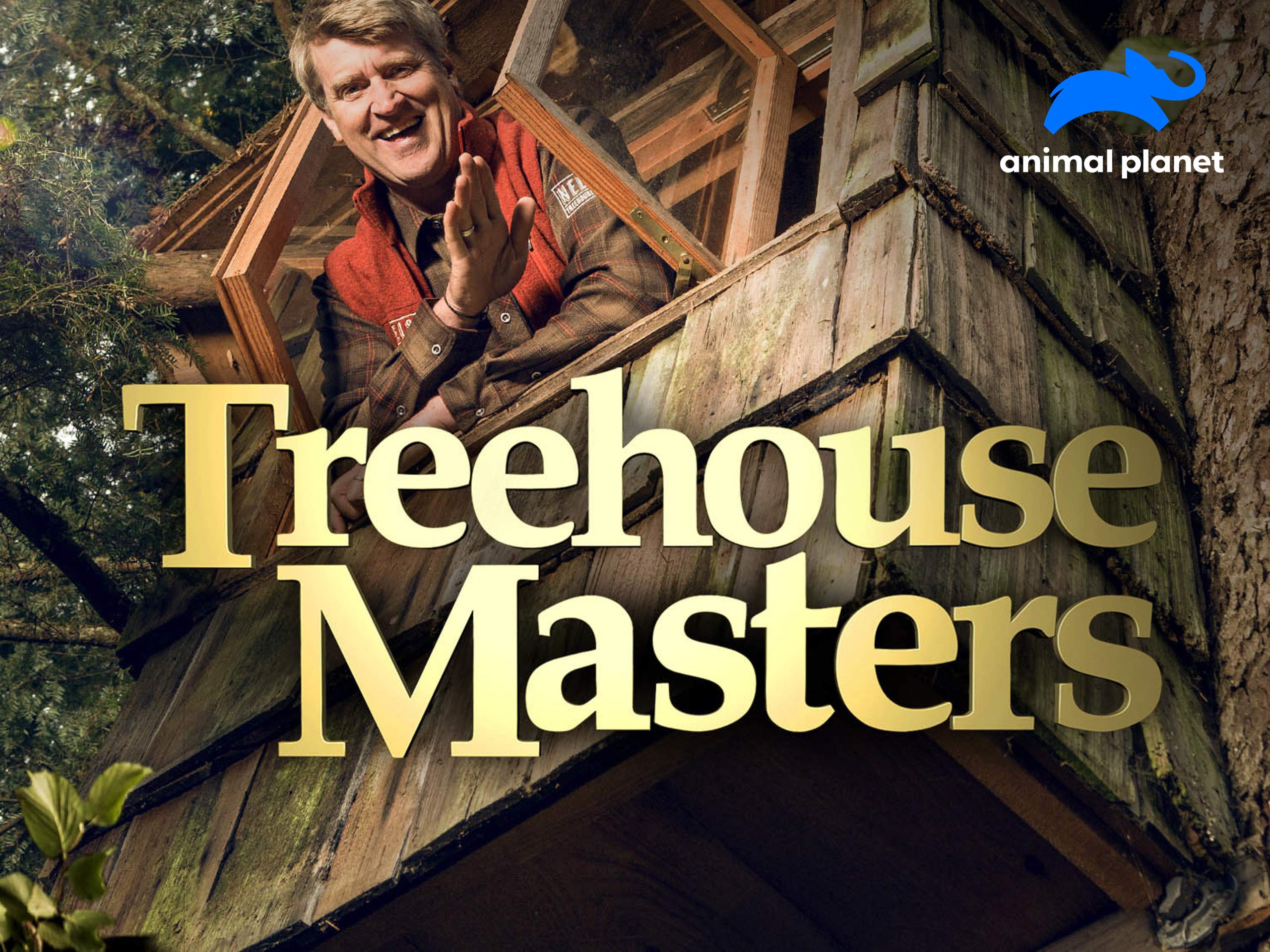 Watch Treehouse Masters - Season 5 | Prime Video