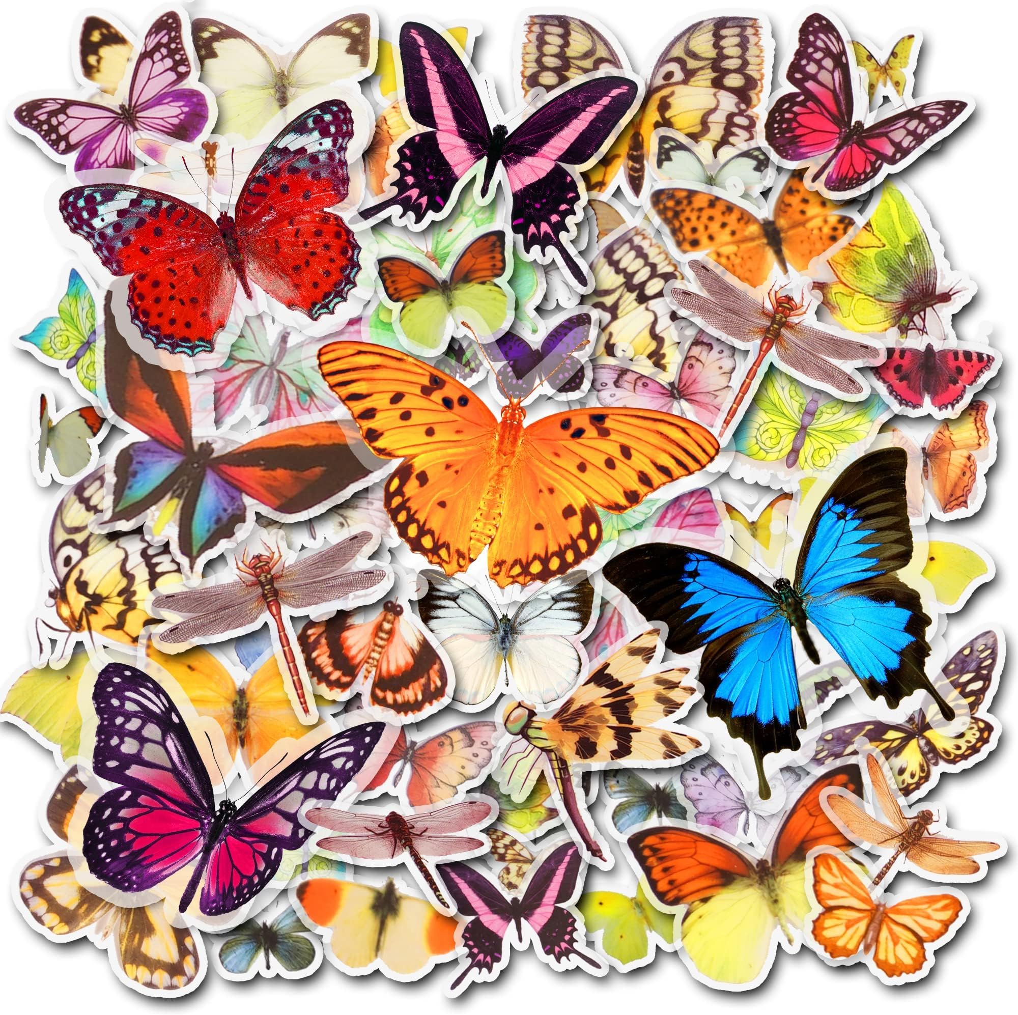 Amazon.com: 80Pcs Butterfly Stickers Clear Butterfly Stickers Decals ...