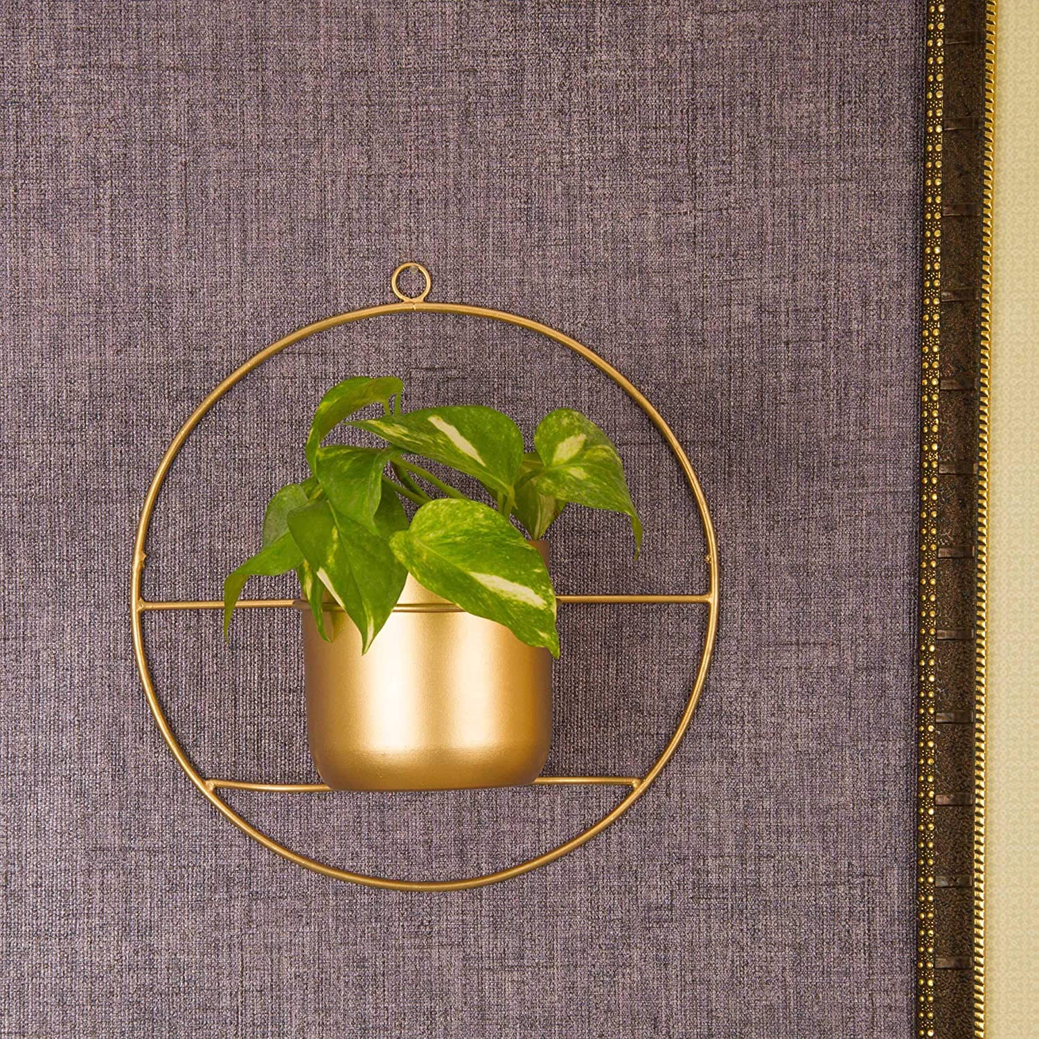 SIRAAJ Wall Hanging Metal Planter Pots for Plants Indoor Living Room ...