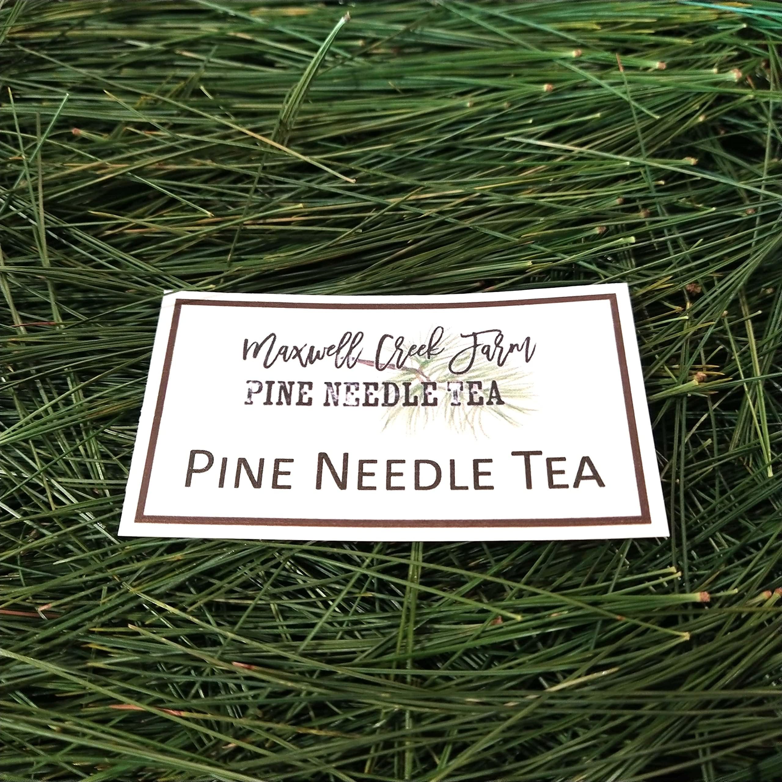 Amazon.com : Pine Needle Tea | USA Farm Fresh | Organic White Pine ...