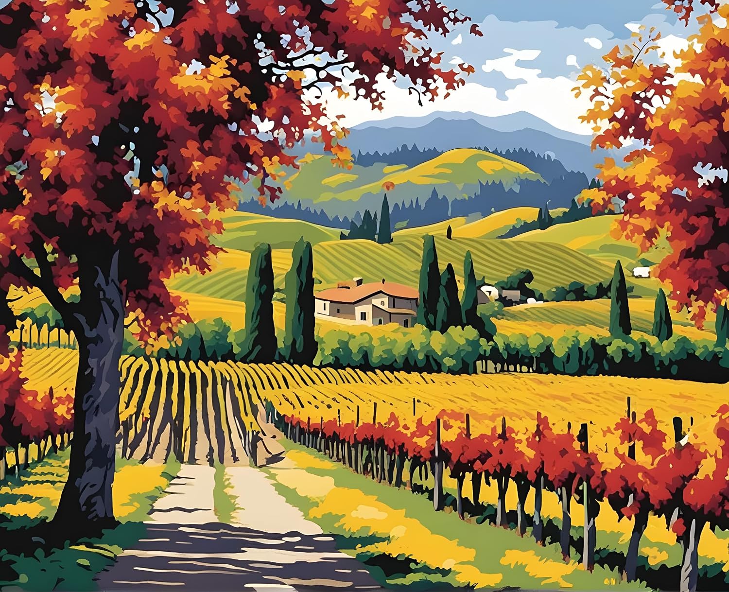 Amazon.com: Amazing Places OD (201) - Napa, California - Van-Go Paint ...