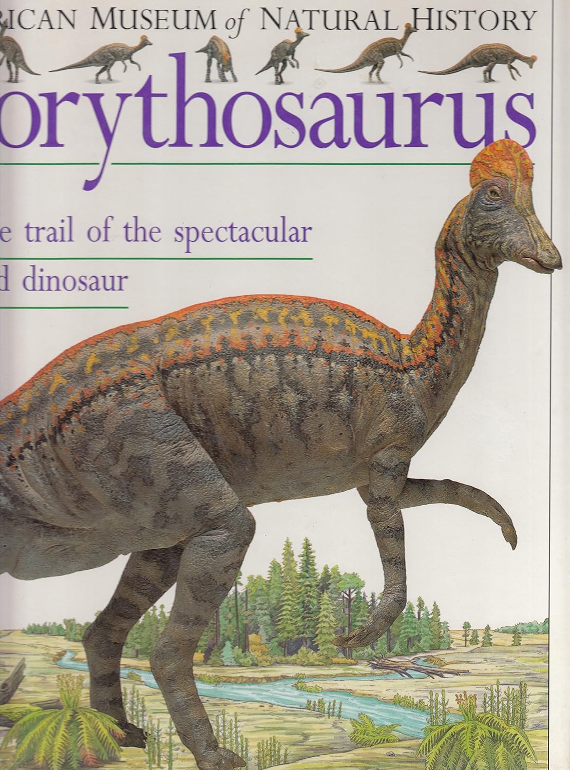 Corythosaurus (American Museum of Natural History): Lindsay, William ...