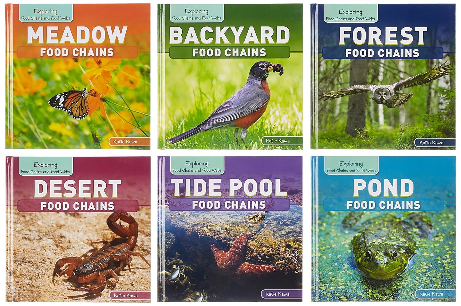 Exploring Food Chains and Food Webs: Kawa, Katie: 9781477757383: Books ...