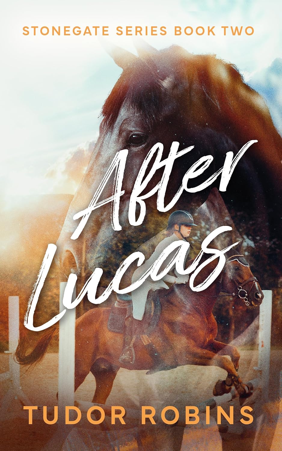 Amazon.com: After Lucas (Stonegate Series Book 3) eBook : Robins, Tudor ...