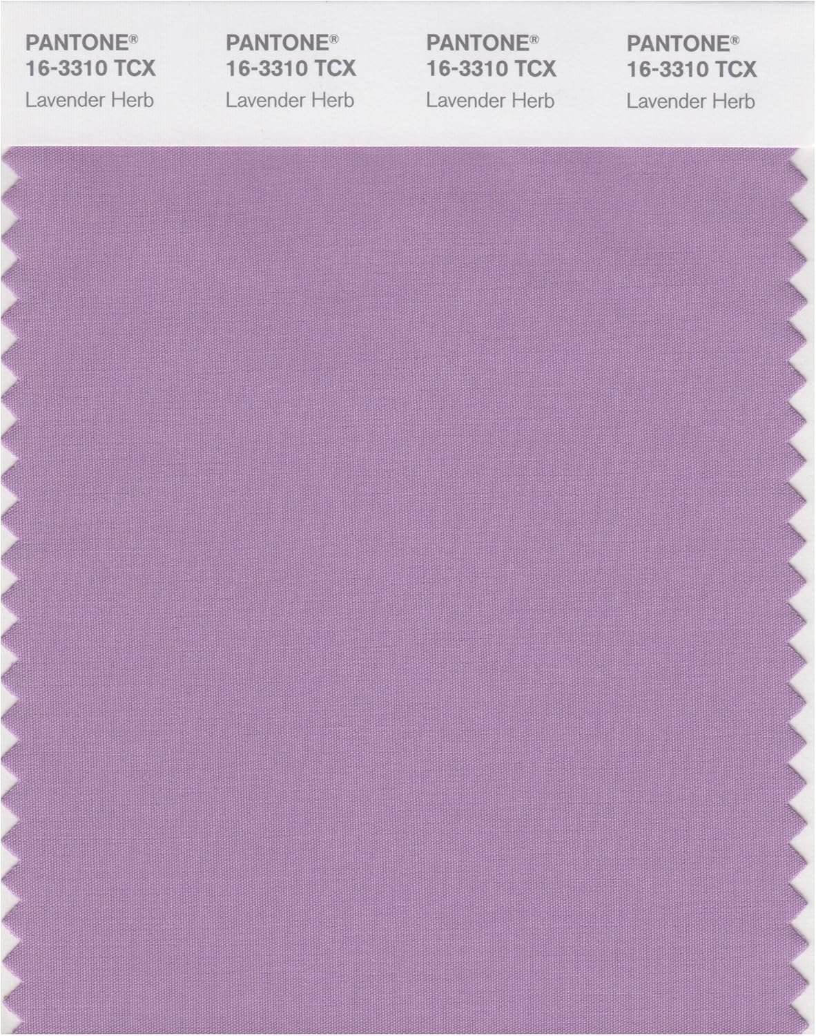 PANTONE SMART Color Swatch Card, lavanda hierba : Amazon.com.mx ...
