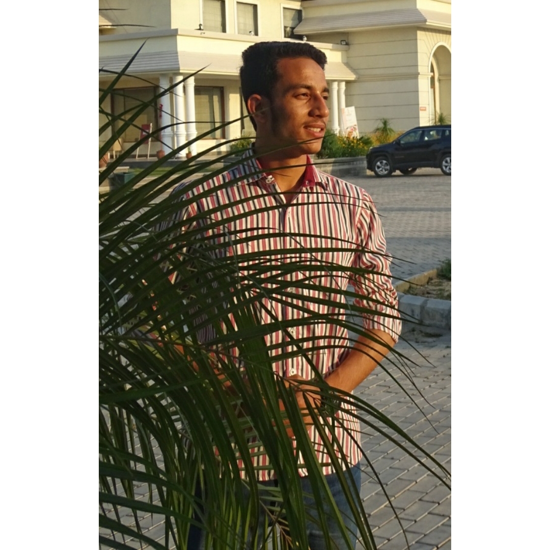 Amazon.com: Kishu K: books, biography, latest update