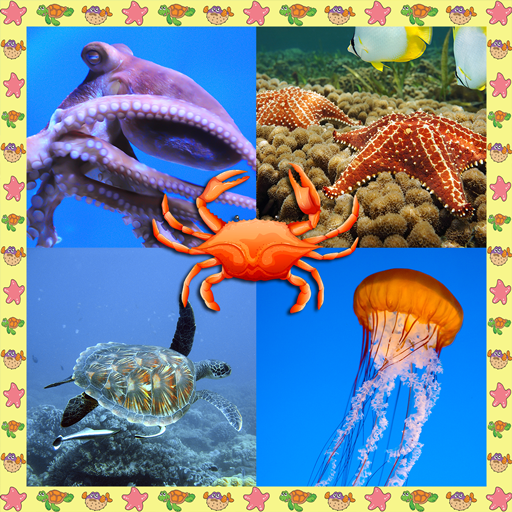 Sea Creatures Collage - App on Amazon Appstore