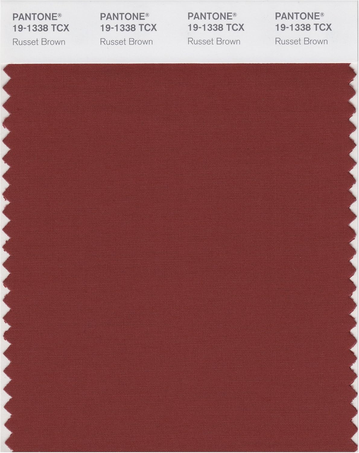PANTONE Smart 19-1338X Color Swatch Card, Russet Brown - House Paint ...