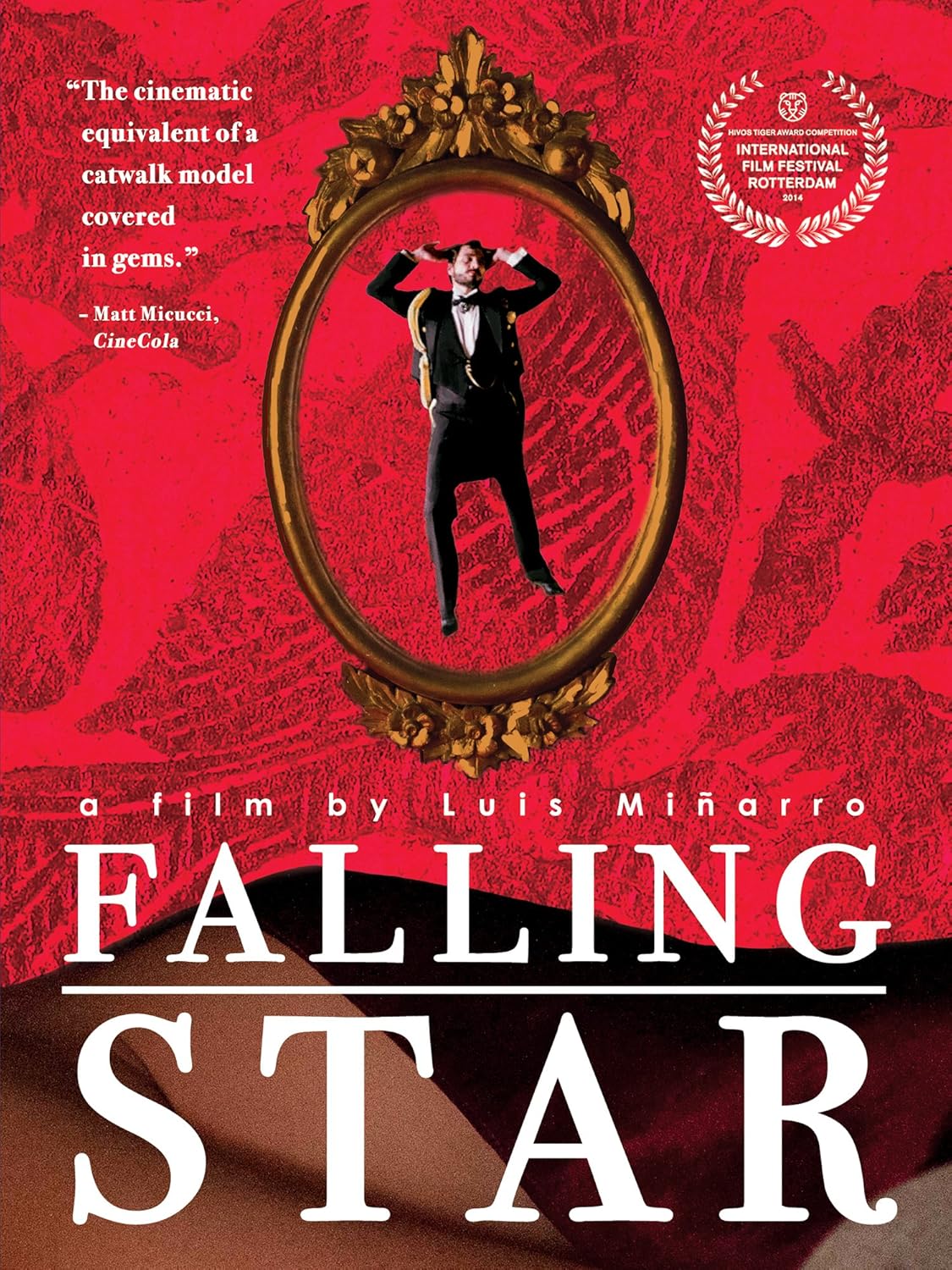 Amazon.com: Falling Star (stella Cadente) : lex Brendemhl, Lorenzo ...
