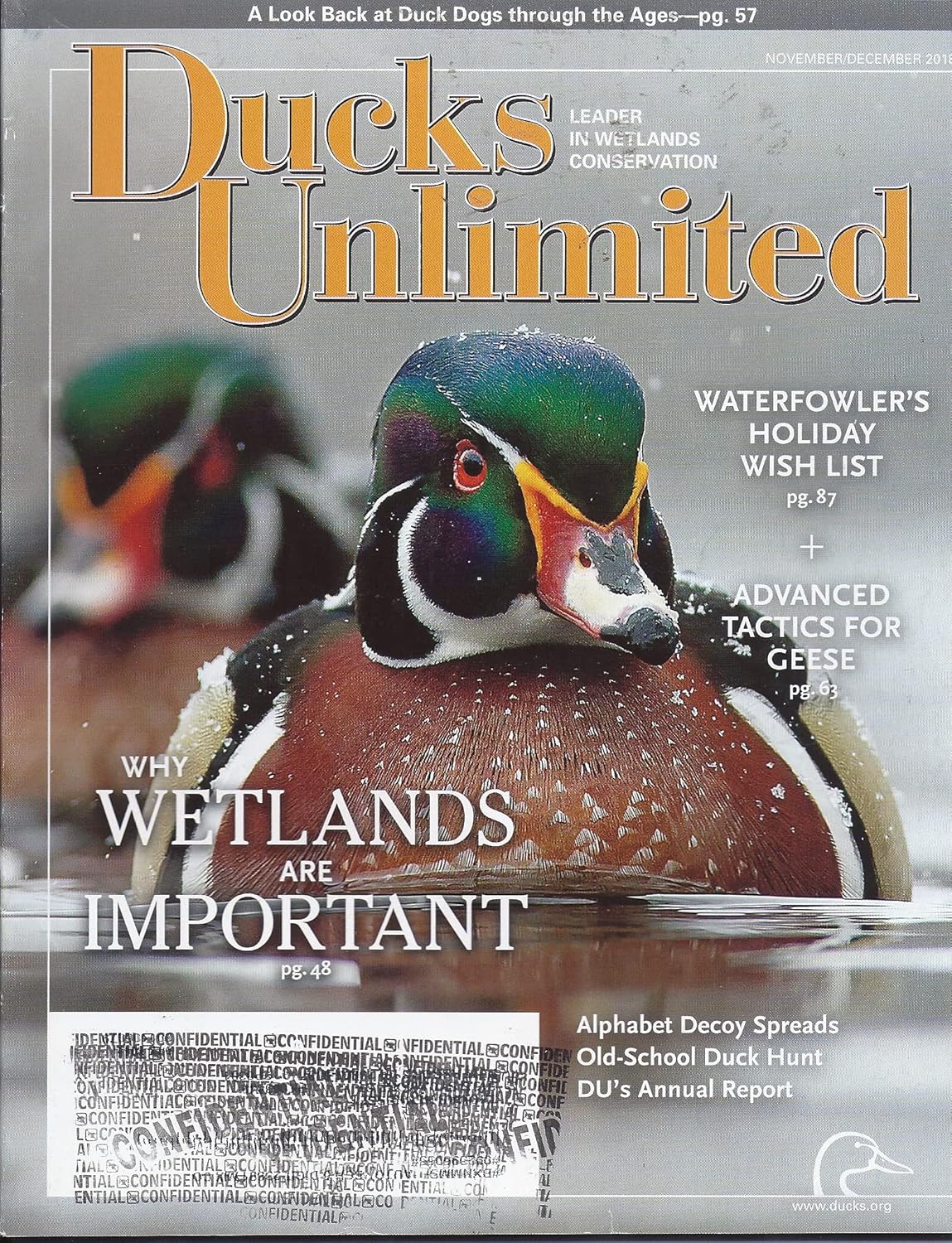 Ducks Unlimited, November/December 2007 Issue [Single Issue Magazine ...