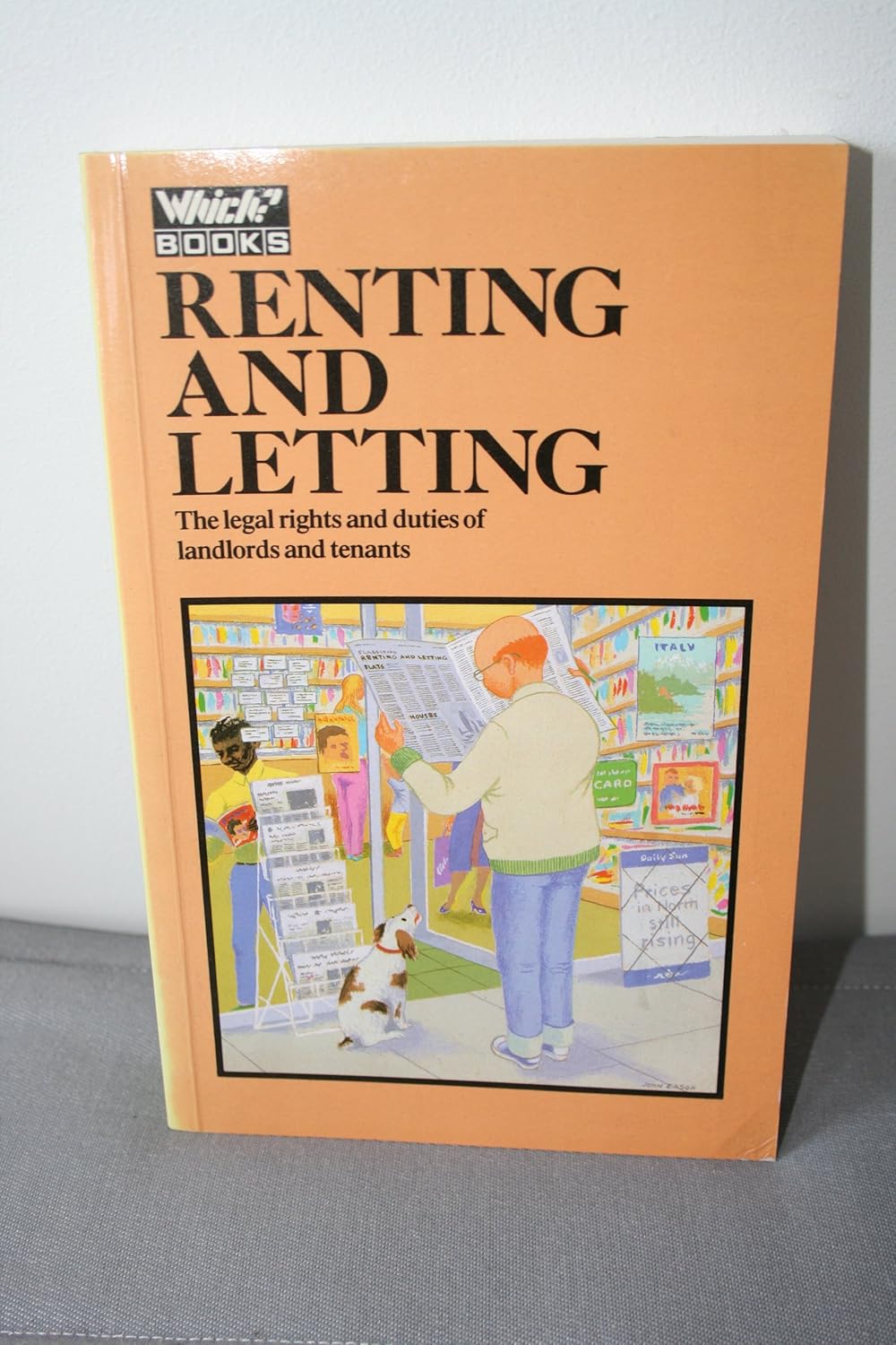 Buy The "Which?" Guide to Renting and Letting ("Which?" Consumer Guides ...
