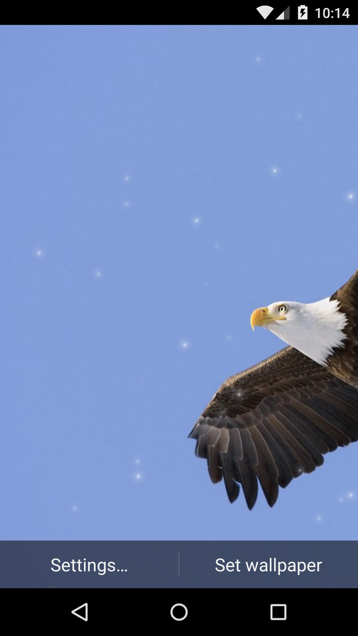 Flying Eagle Wallpaper Desktop Flying Eagle MacBook Air Wallpaper