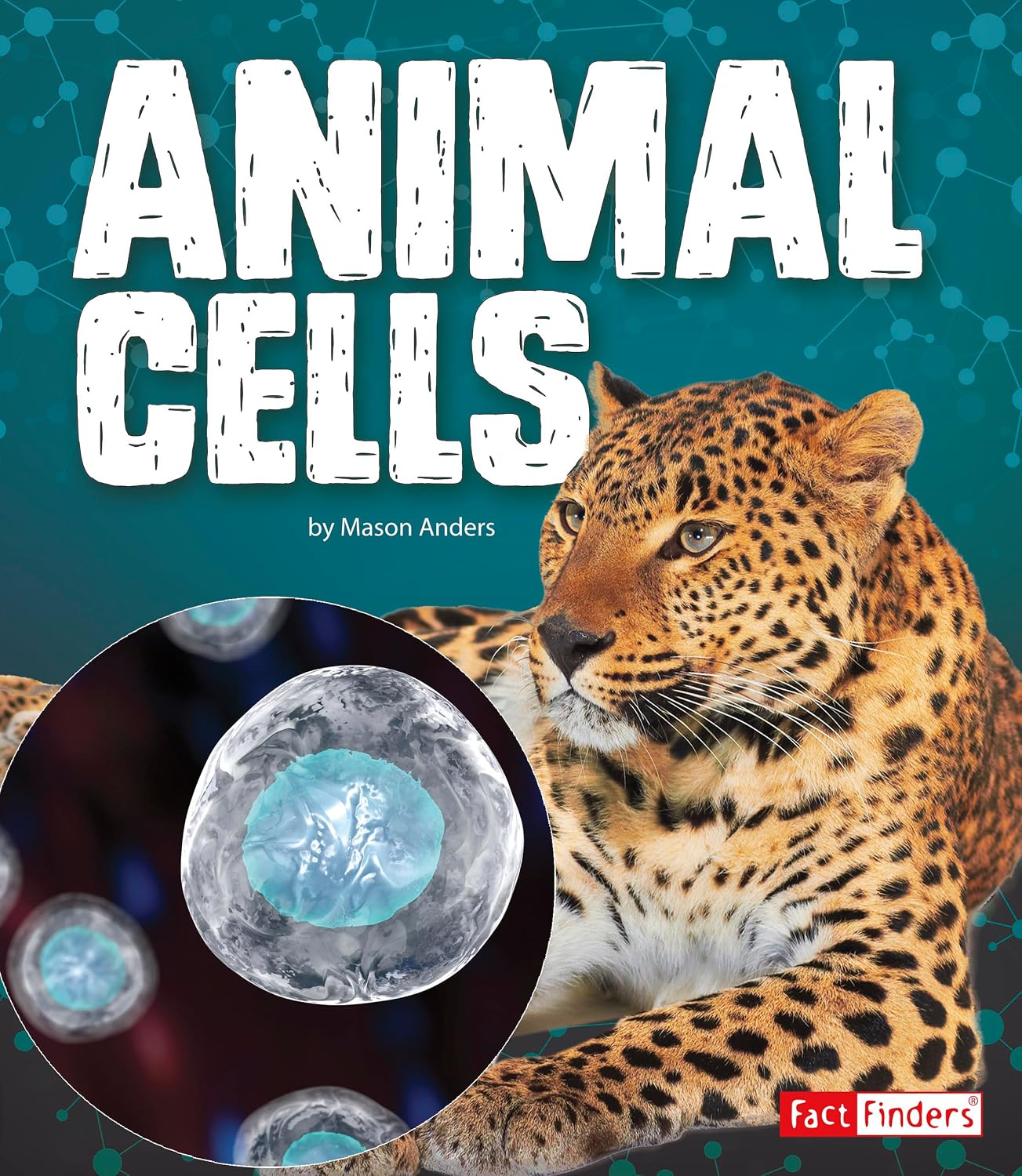 Amazon.com: Animal Cells (Genetics) eBook : Anders, Mason: Kindle Store