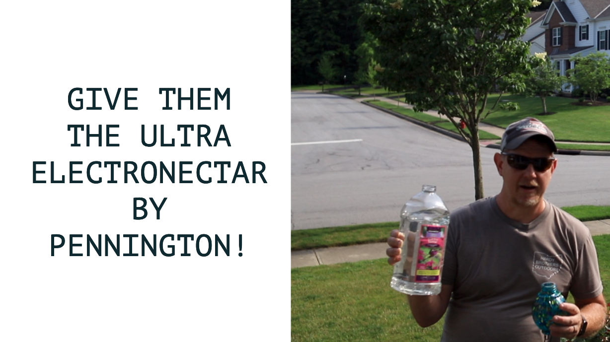Watch Pennington ElectroNectar Hummingbird Food Ready to Use on Amazon Live