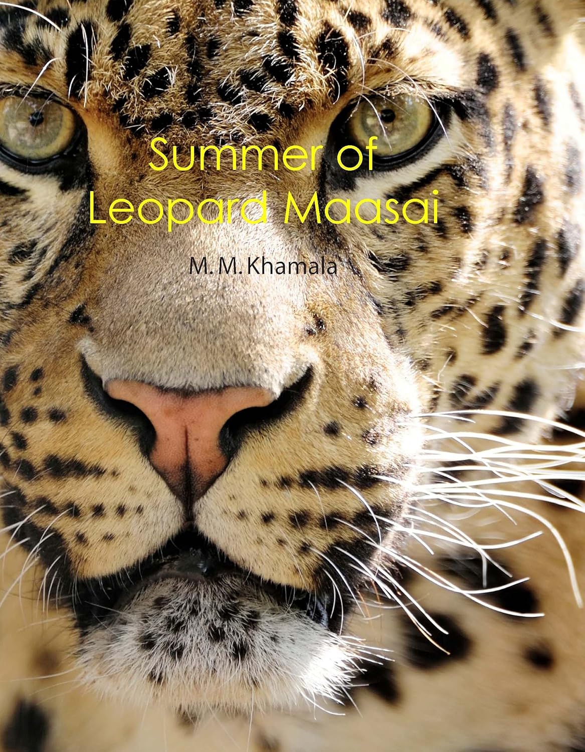 Amazon.com: SUMMER OF LEOPARD MAASAI eBook : Khamala, Martin: Kindle Store