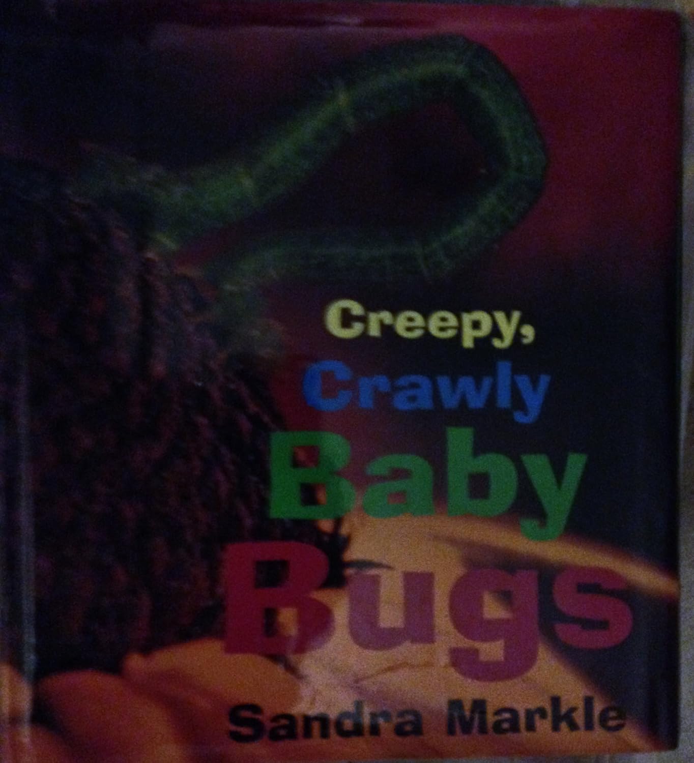 Creepy, Crawly Baby Bugs: Markle, Sandra: 9780802784438: Amazon.com: Books