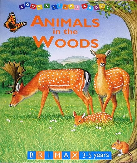 Amazon.com: Animals in the Wood: Look and Learn About: 9781858543932 ...