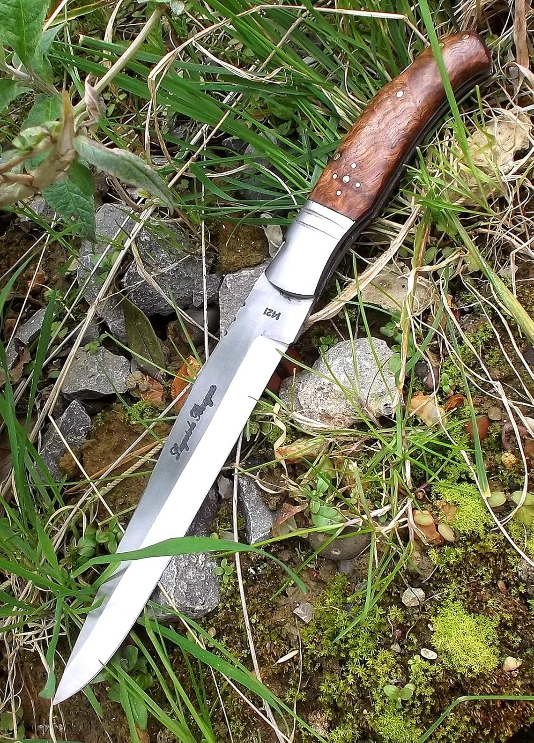 5800 Laguiole Corsica Vendetta Hunting Knife, Fixed-Blade Knives ...