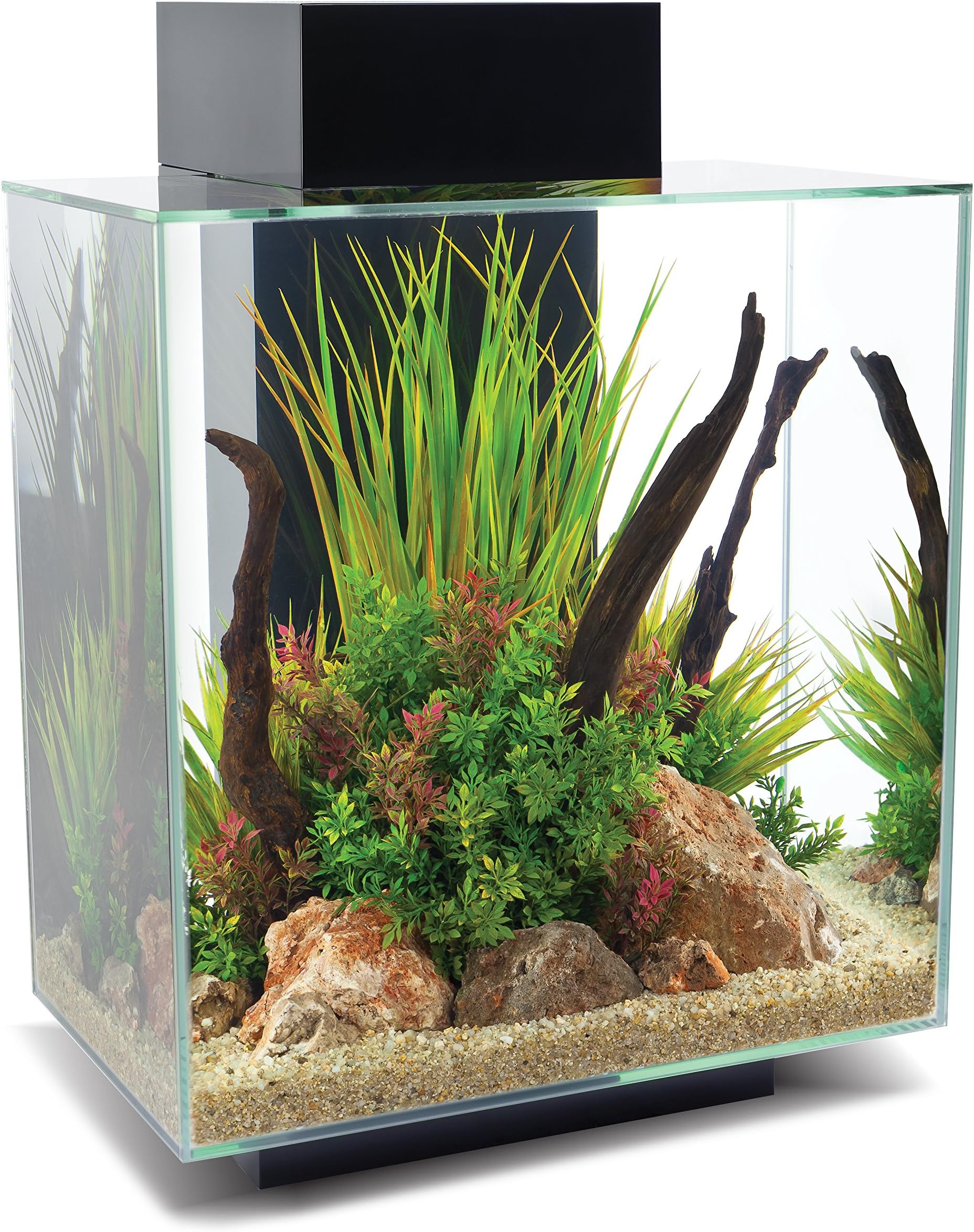 Amazon.com : Fluval Flex 15 Aquarium Kit - Fish Tank for Fish & Plants ...