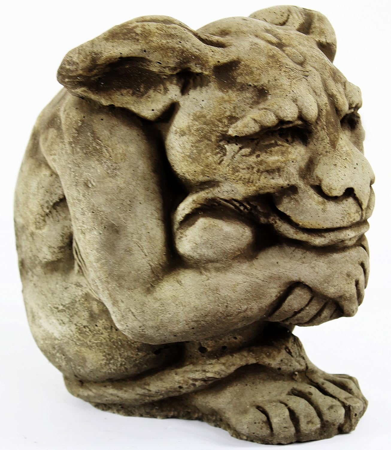 Amazon.com : Igor Garden Statue Gargoyle Gothic Sculpture : Patio, Lawn ...