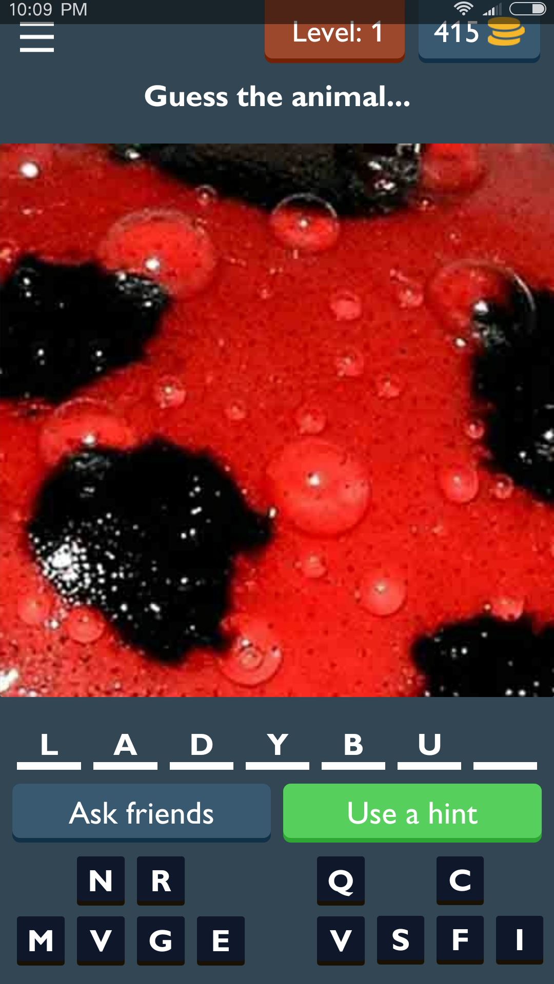 Animal Close Up Trivia Quiz - App on Amazon Appstore