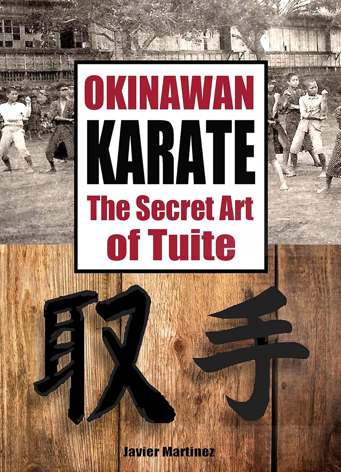 Okinawan Karate The Secret Art of Tuite Second edition: Javier Martínez ...