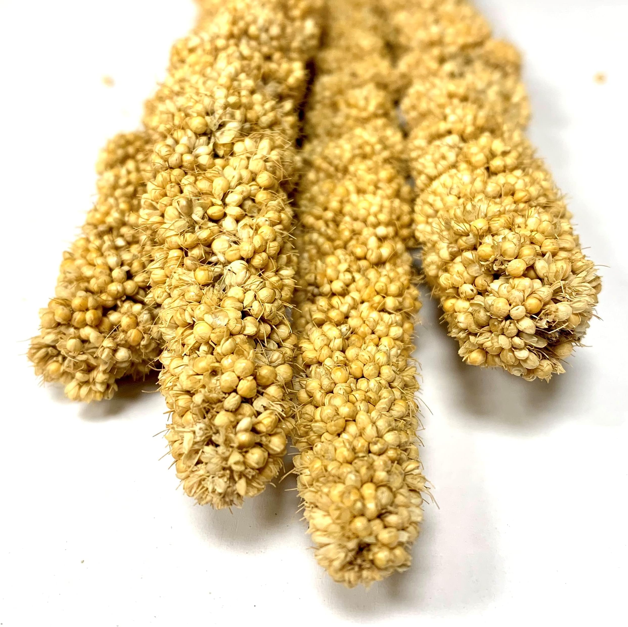 Pet Ting 1Kg Millet Spray for Birds and Small Animals - budgies ...