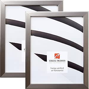 Amazon.com - Craig Frames 72966 17 x 22 Inch Picture Frame, Modern ...