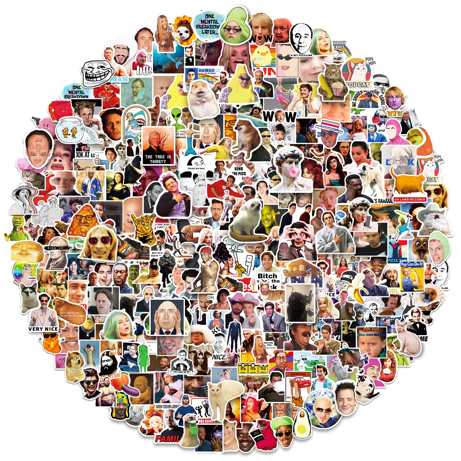 Meme Stickers 300 PCS Funny S...B09TPB5JTC | Encarguelo.com