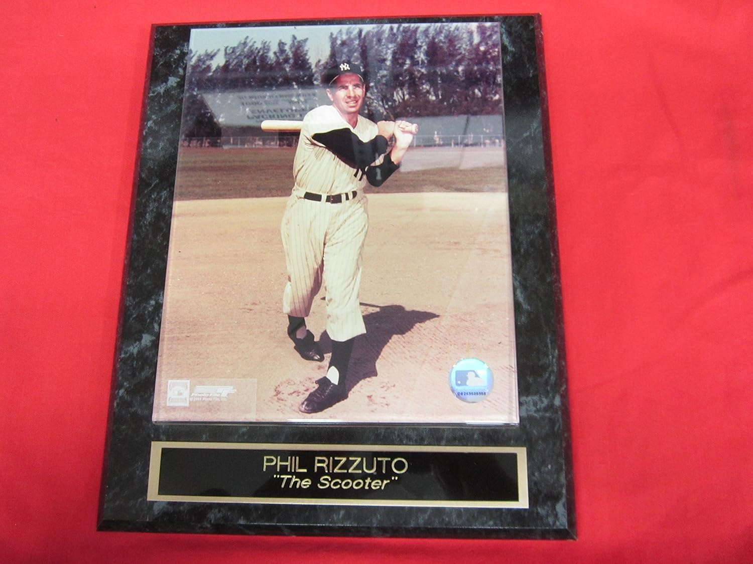 Amazon.com : Yankees Phil Rizzuto Collector Plaque #3 w/8x10 Vintage ...