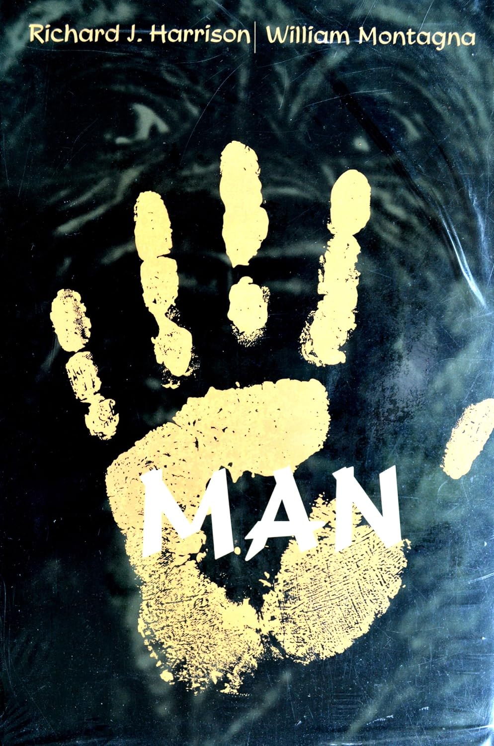 Man: Harrison, Richard John: 9780390416469: Amazon.com: Books
