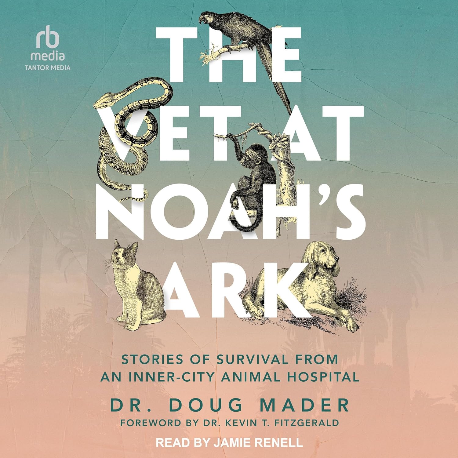 The Vet at Noah's Ark: Stories of Survival from an Inner-city Animal ...
