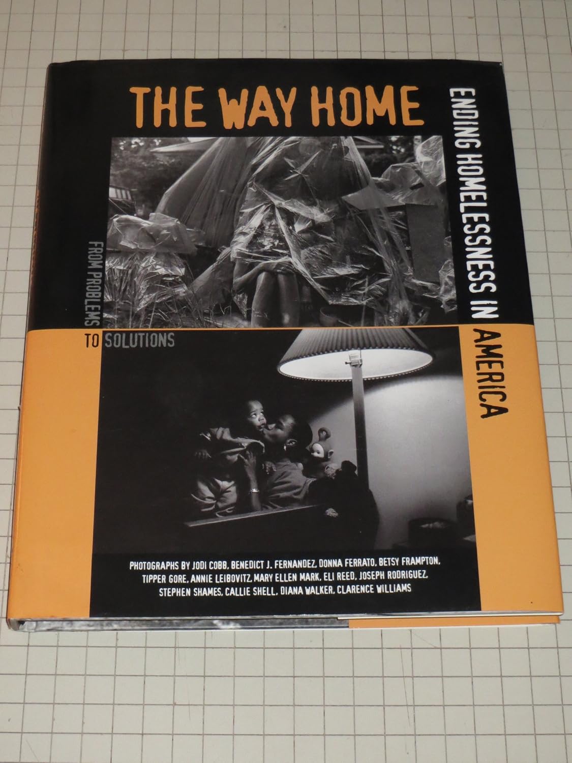The Way Home: Ending Homelessness in America: Roman, Nan: 9780810945531 ...