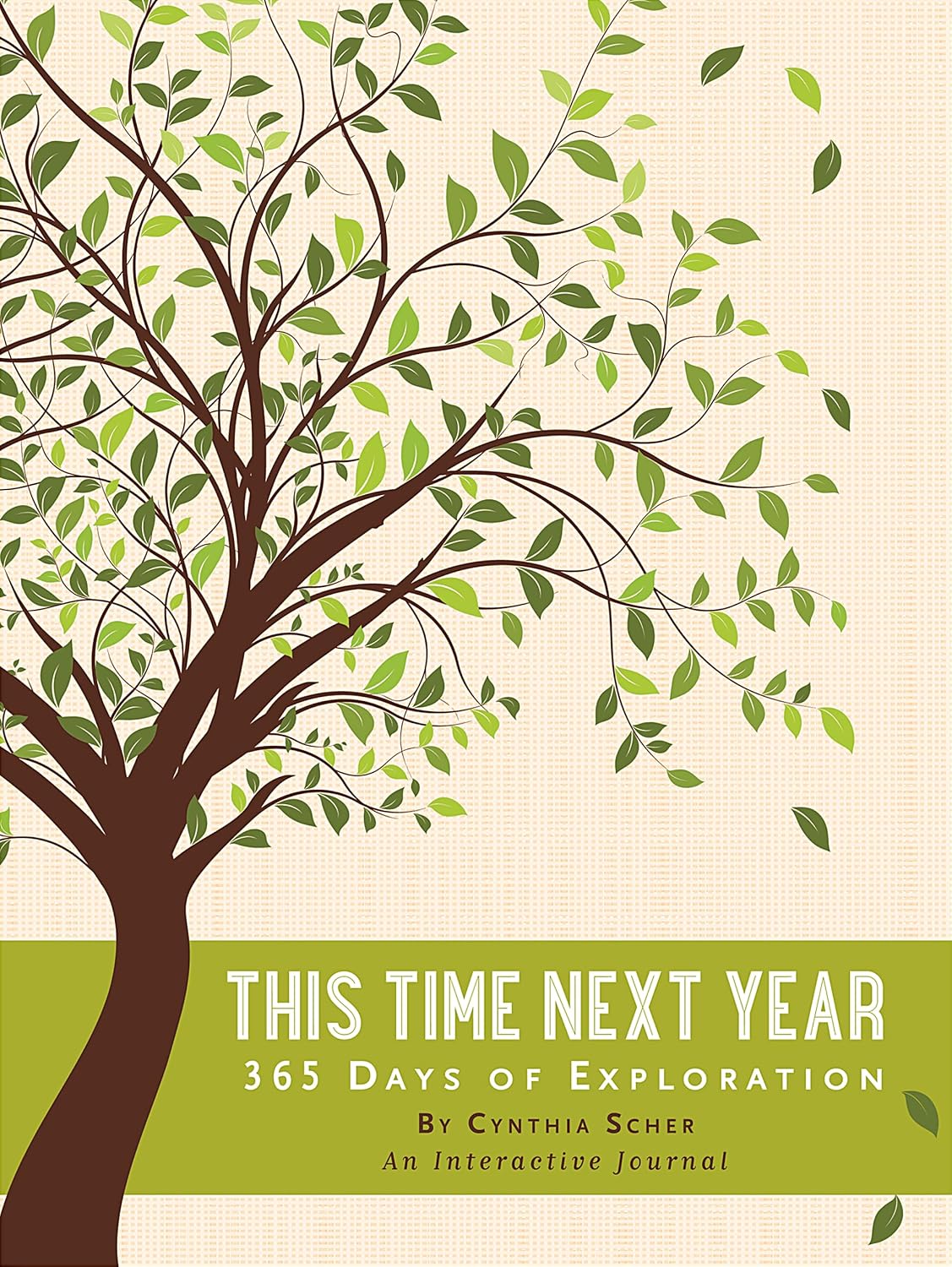 Amazon.com: This Time Next Year Journal: 9781441318374: Peter Pauper ...
