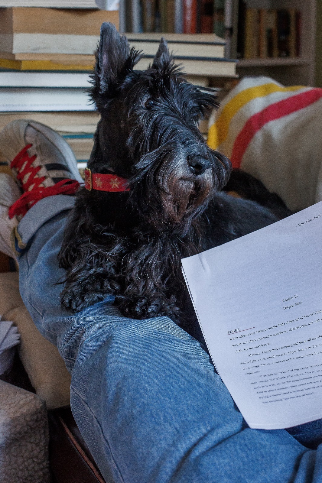 Amazon.com: Chase Taylor Hackett: books, biography, latest update