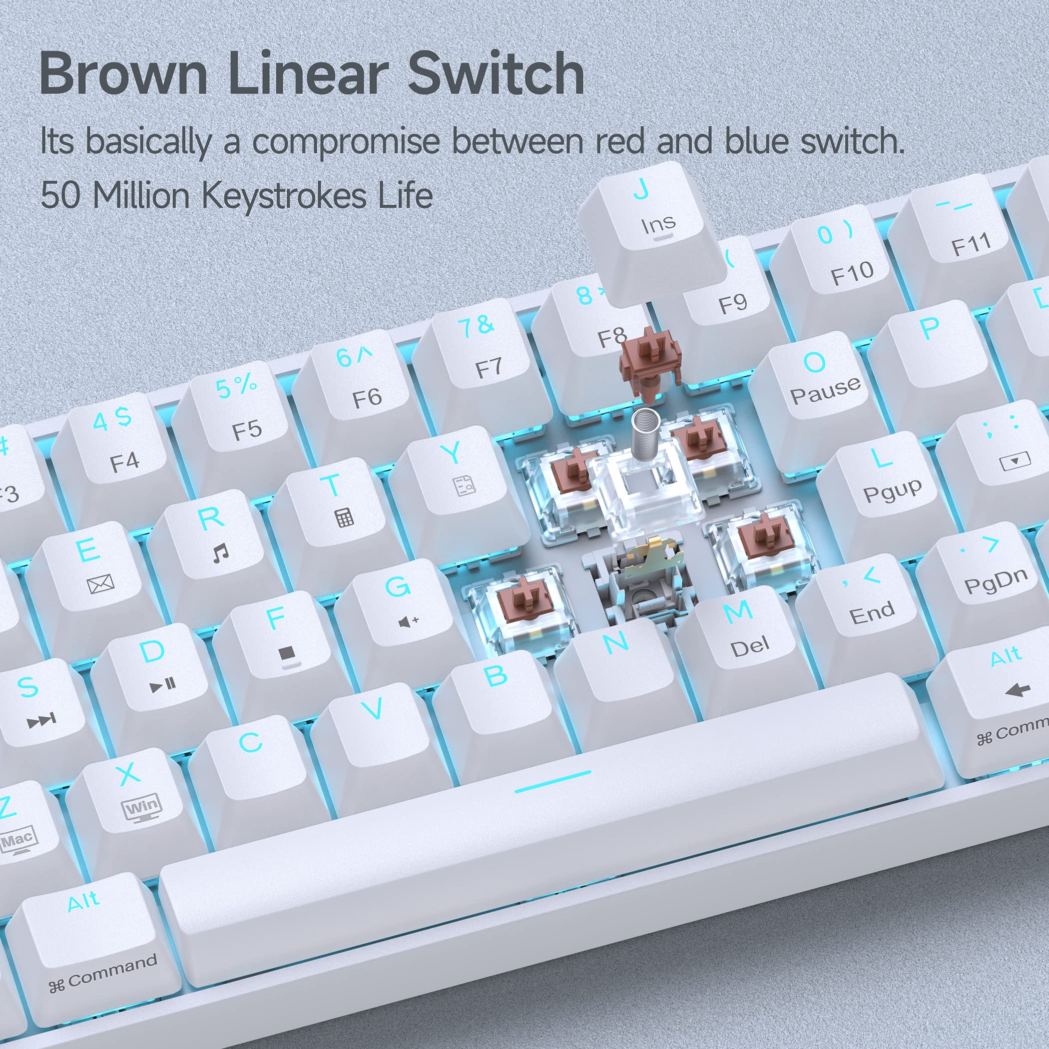 Snapklik.com : DIERYA DK61SE 60% Mechanical Gaming Keyboard, 61 Keys ...