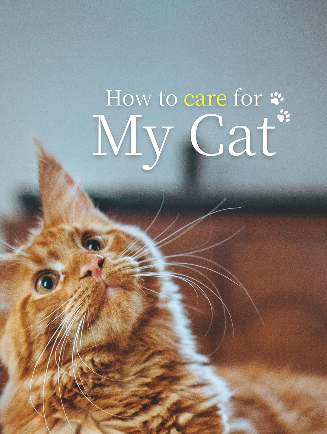 How To Care For My Cat : My First Cat Book - Kindle edition by Adila ...