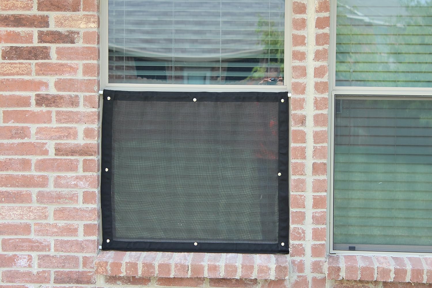 Amazon.com: Snap On Screens Window Screen, 48" x 60", Black : Tools ...