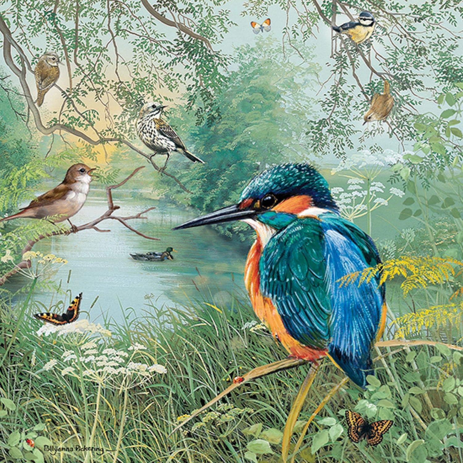 Otter House 1000 Piece Square Jigsaw Puzzle- Nature Reserve : Amazon.co ...