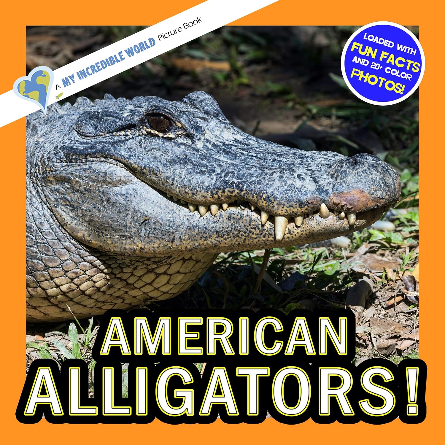 American Alligators!: A My Incredible World Picture Book for Children ...