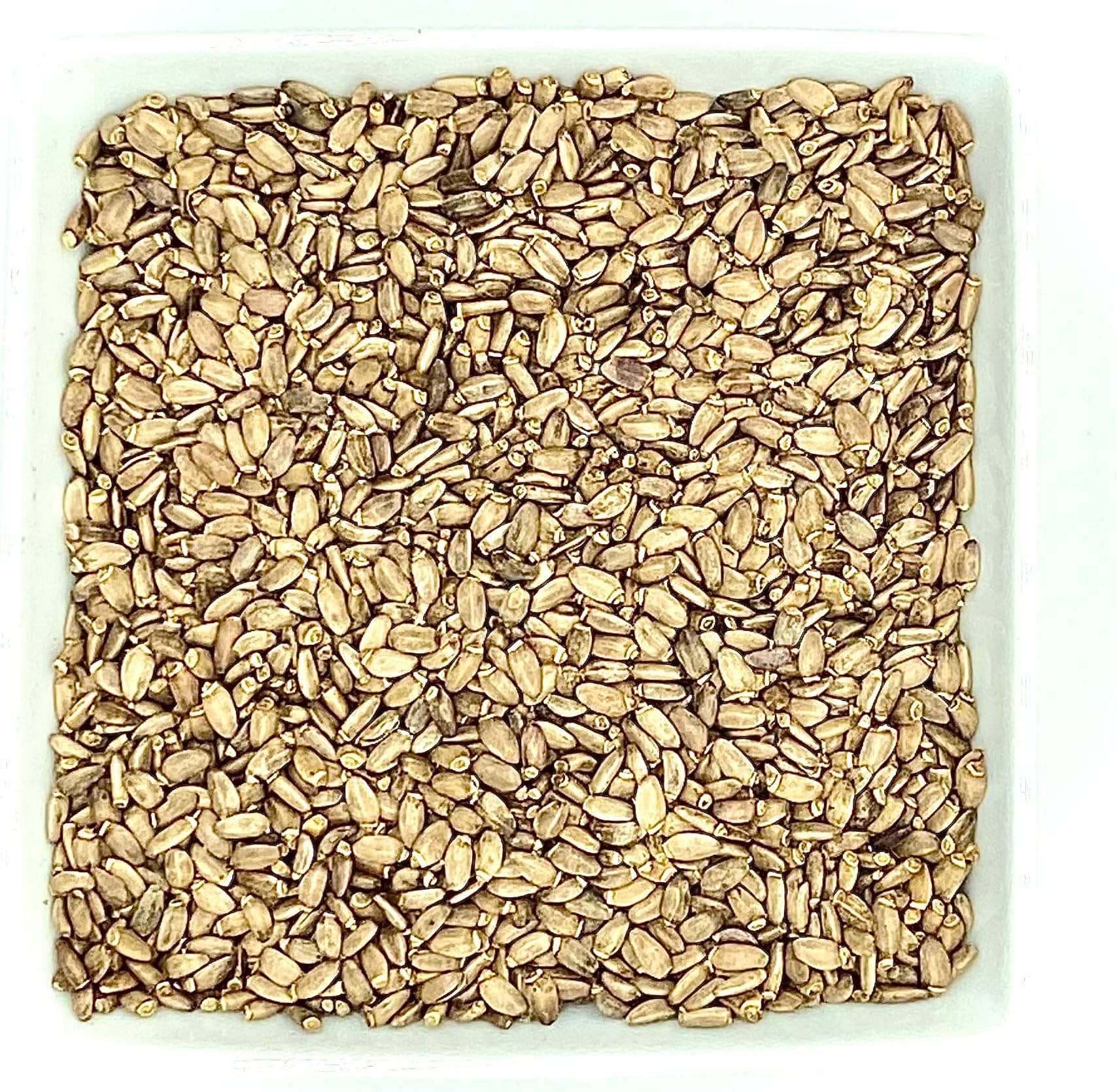 Amazon.com : Organic Way Whole Milk Thistle Seeds (Silybum Marianum ...