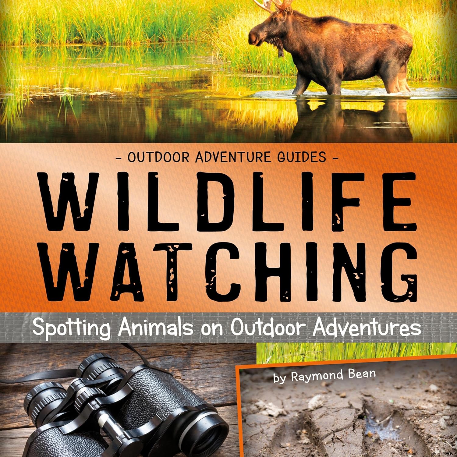Amazon.co.jp: Wildlife Watching: Spotting Animals on Outdoor Adventures ...